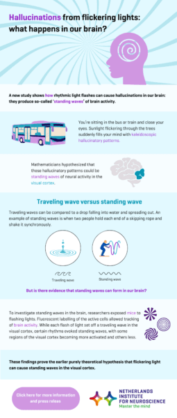 Hallucinations from flickering lights: what happens in our brain ...