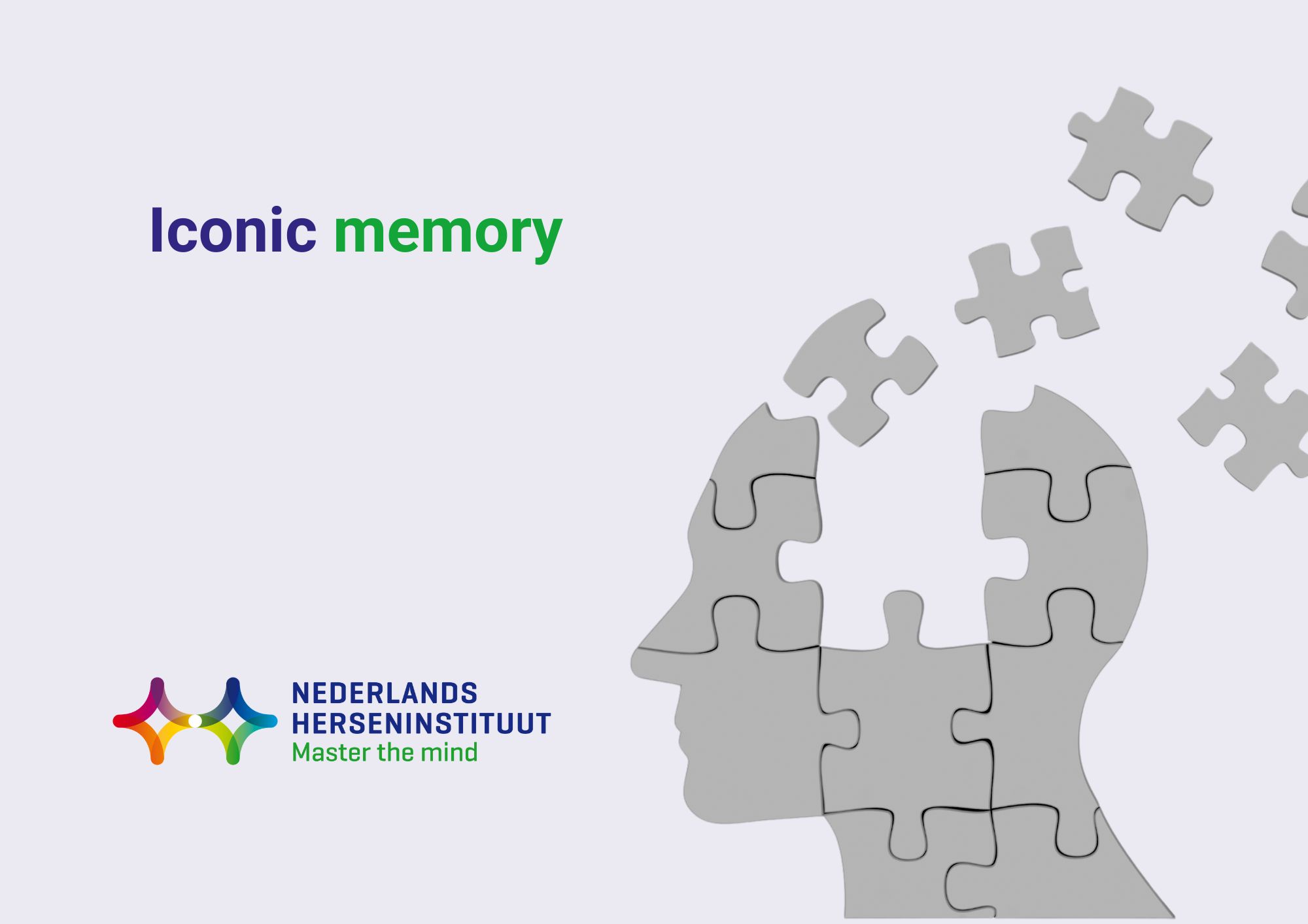 Iconic memory | Research at the NIN - Netherlands Institute for ...